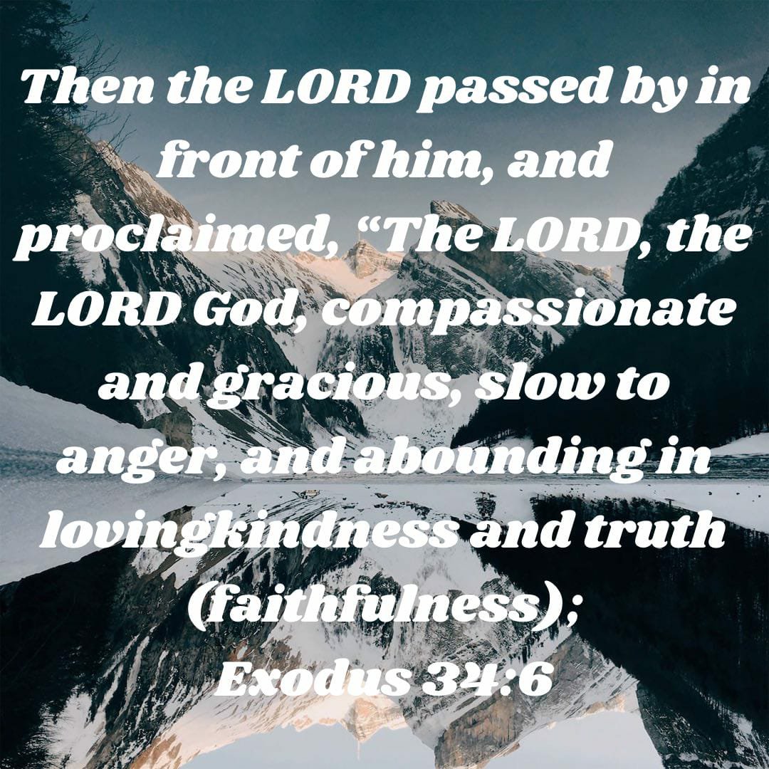 GRACIOUS | Energy For Your Life and Health